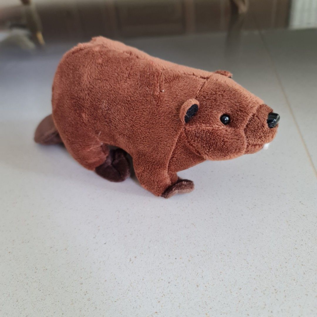 Singapore Zoo River Safari Beaver Plushie, Hobbies & Toys, Toys & Games ...