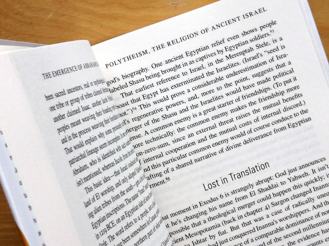 The Evolution of God {Hard Cover} by Robert Wright. (Amazon USA ...