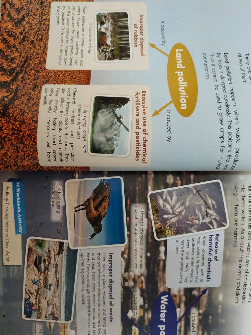 Top Science Textbook 4, Hobbies & Toys, Books & Magazines, Textbooks on ...