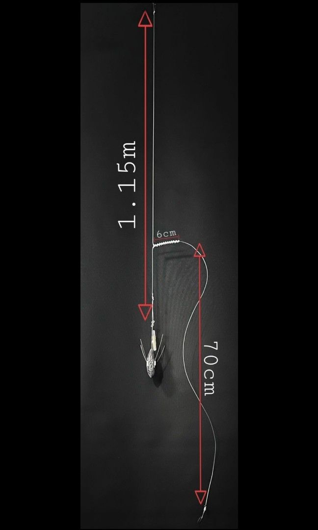 Twisted Spiral Apollo/ Paternoster Fishing Rig (Bottom feeder), Sports ...