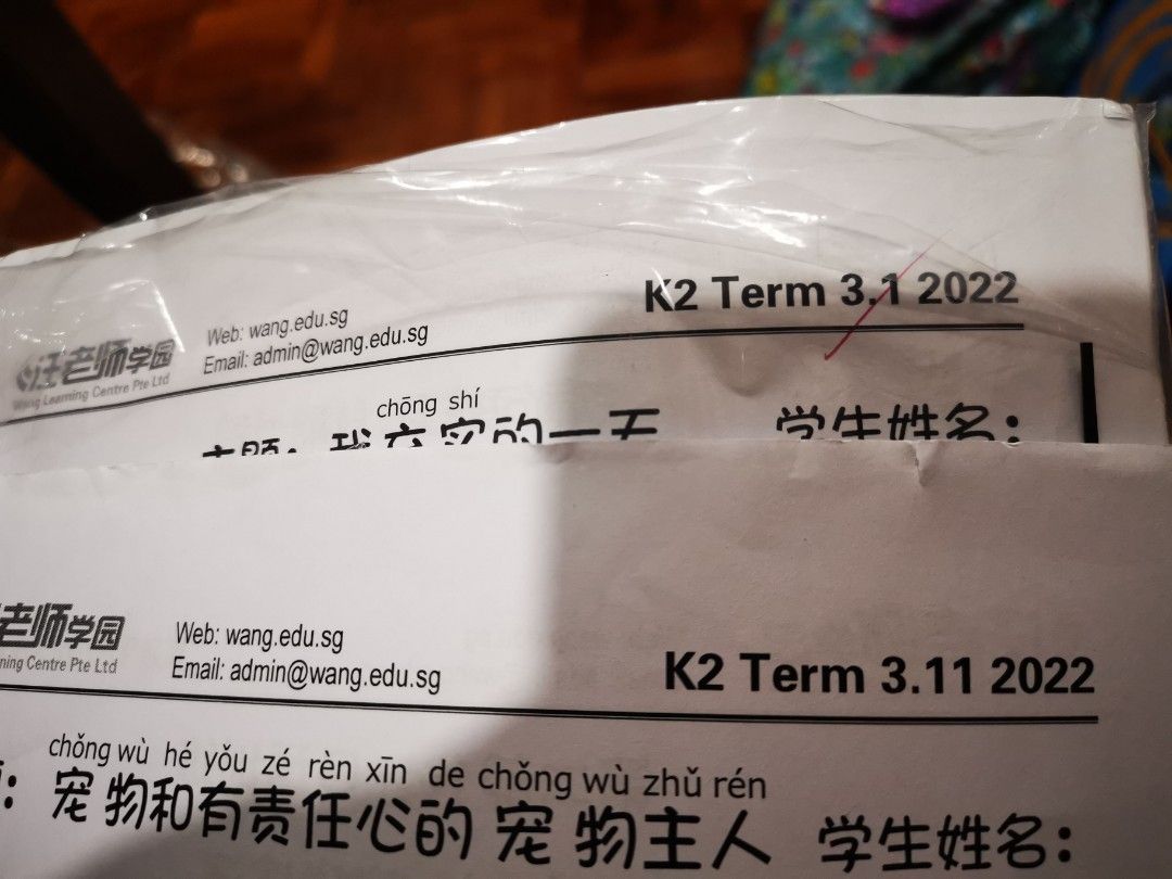 Wang Learning Centre K2 Term 3 notes, Hobbies & Toys, Books & Magazines ...