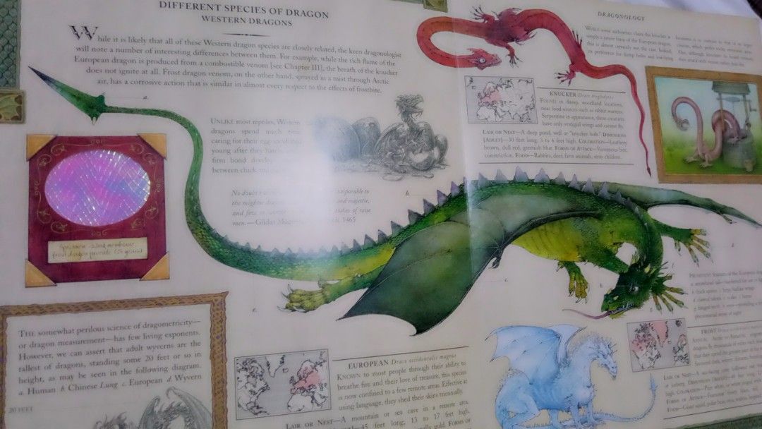 Book of dragons by Ernest drake, Hobbies & Toys, Books & Magazines ...