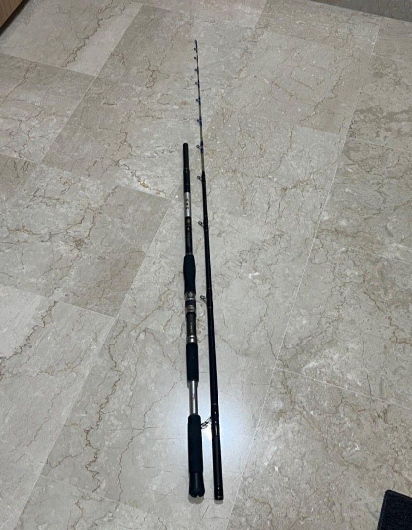 Fishing rod Electric reel rod boat rod, Sports Equipment, Fishing on ...