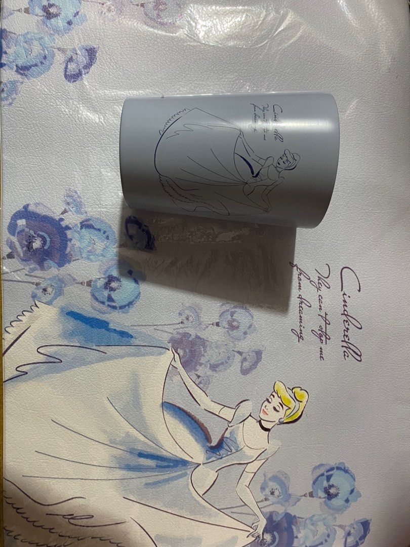 Lunch Mat Cinderella Disney Princess, Perabotan Rumah di Carousell