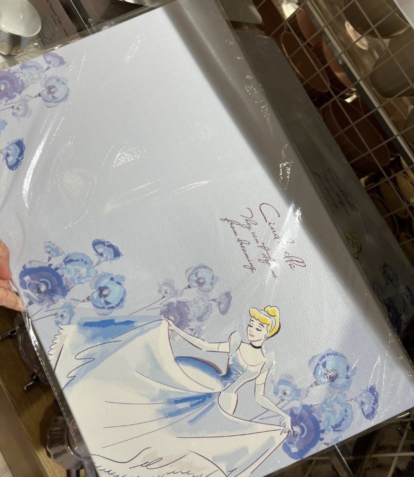 Lunch Mat Cinderella Disney Princess, Perabotan Rumah di Carousell