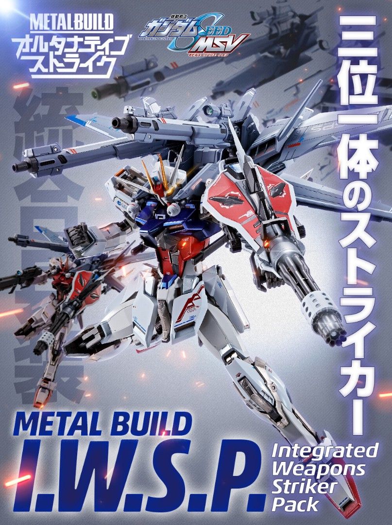 METAL BUILD I.W.S.P. (IWSP), Hobbies & Toys, Toys & Games on Carousell