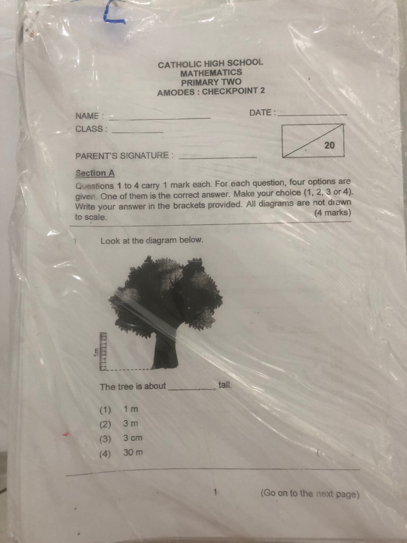 P2 maths past year papers, Hobbies & Toys, Books & Magazines ...