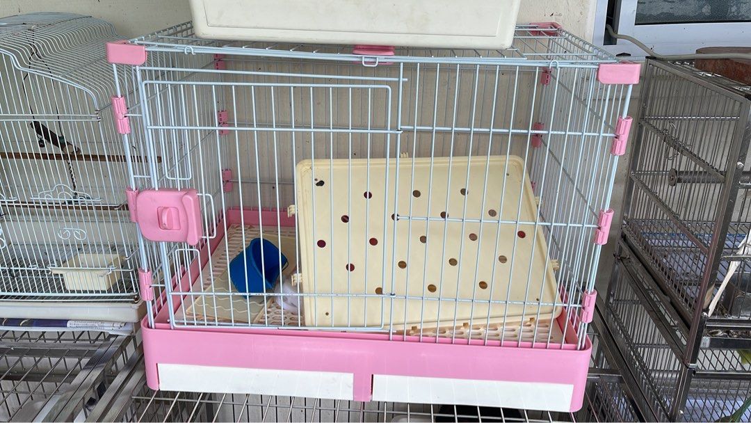 Pet Cage, Pet Supplies, Homes & Other Pet Accessories on Carousell