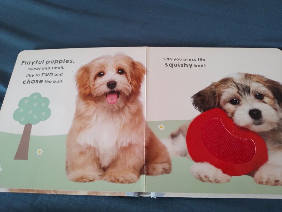 Puppy board book, Hobbies & Toys, Books & Magazines, Children's Books ...
