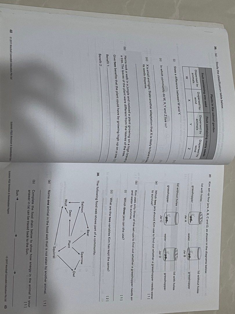 Science PSLE Revision & Examination Papers (barely touched), Hobbies ...