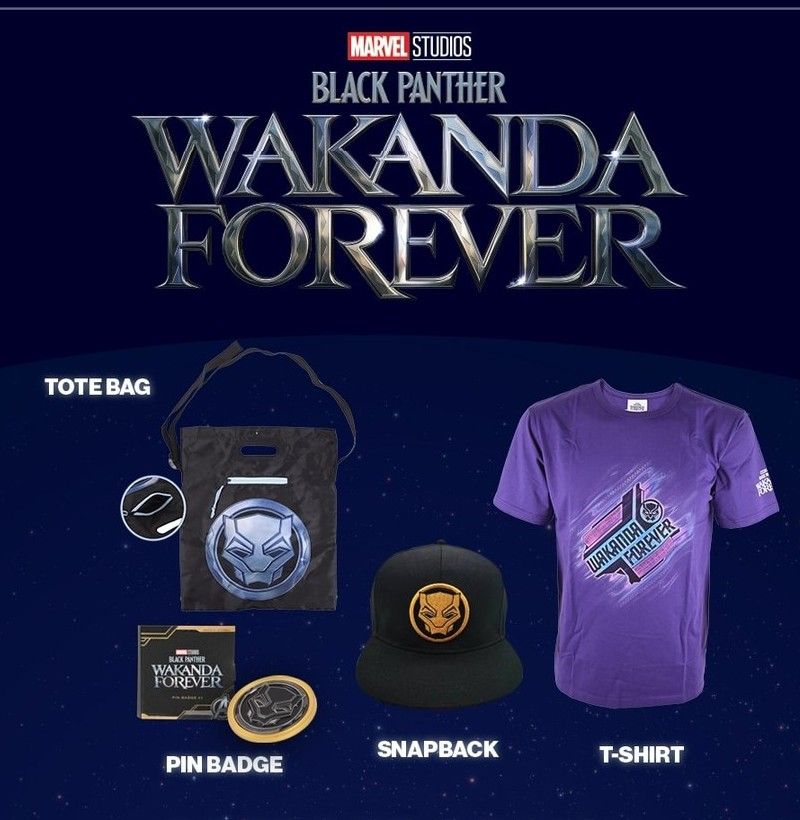 Wakanda forever black panther set, Hobbies & Toys, Toys & Games on ...