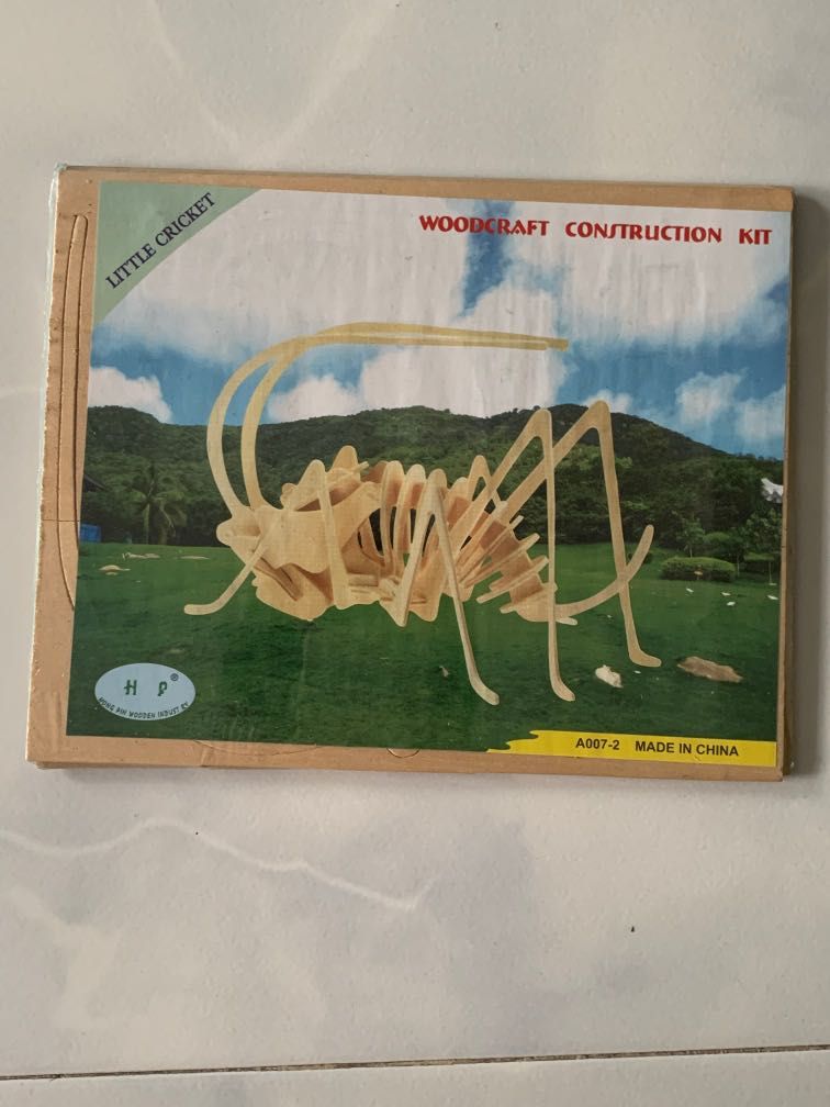 Woodcraft construction kit and mound and paint dinosaur, Hobbies & Toys ...