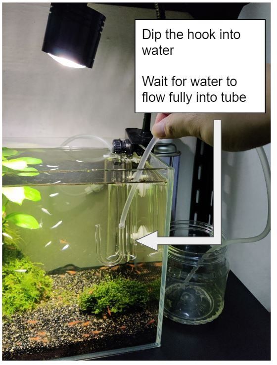 Aquarium Acclimation Drip Kit for Fish/Shrimp, Pet Supplies, Homes ...