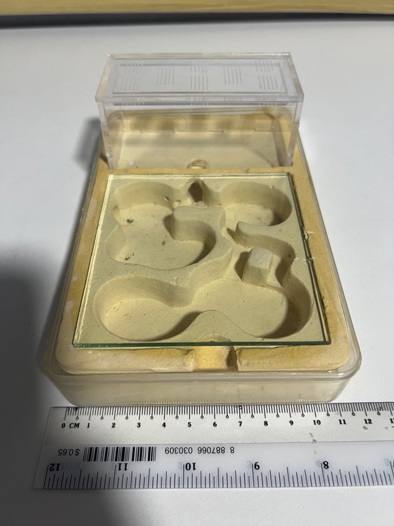Clay ant formicarium, Pet Supplies, Homes & Other Pet Accessories on ...