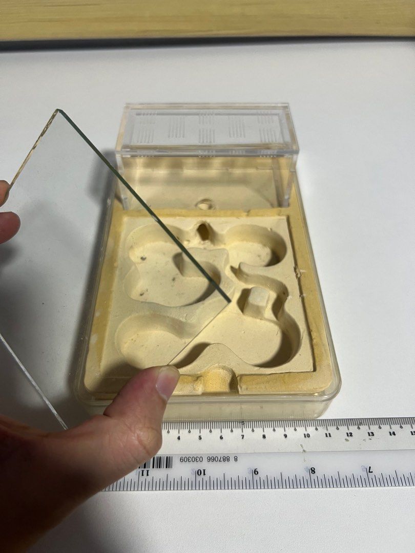 Clay ant formicarium, Pet Supplies, Homes & Other Pet Accessories on ...