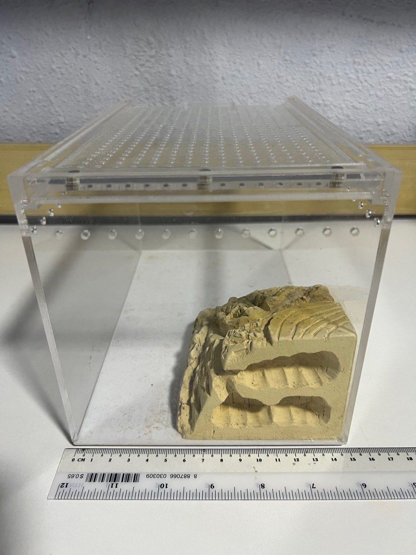 Clay ant nest + tank set, Pet Supplies, Homes & Other Pet Accessories ...