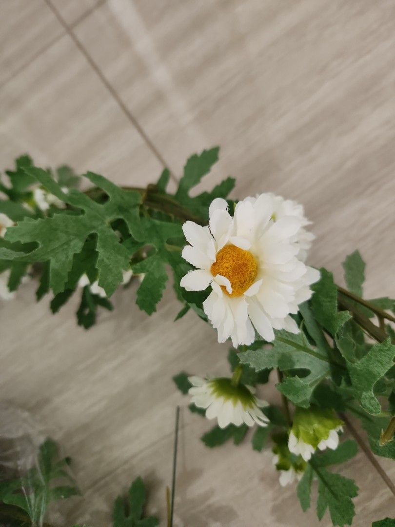 Daisy garland, Furniture & Home Living, Home Decor, Artificial Plants ...