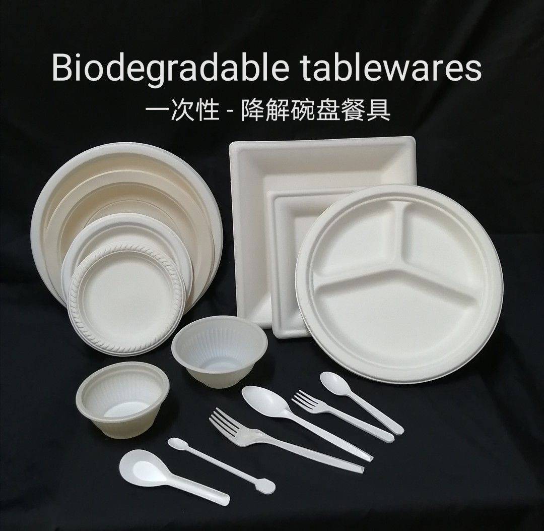 Disposable food containers and utensils, Furniture & Home Living ...