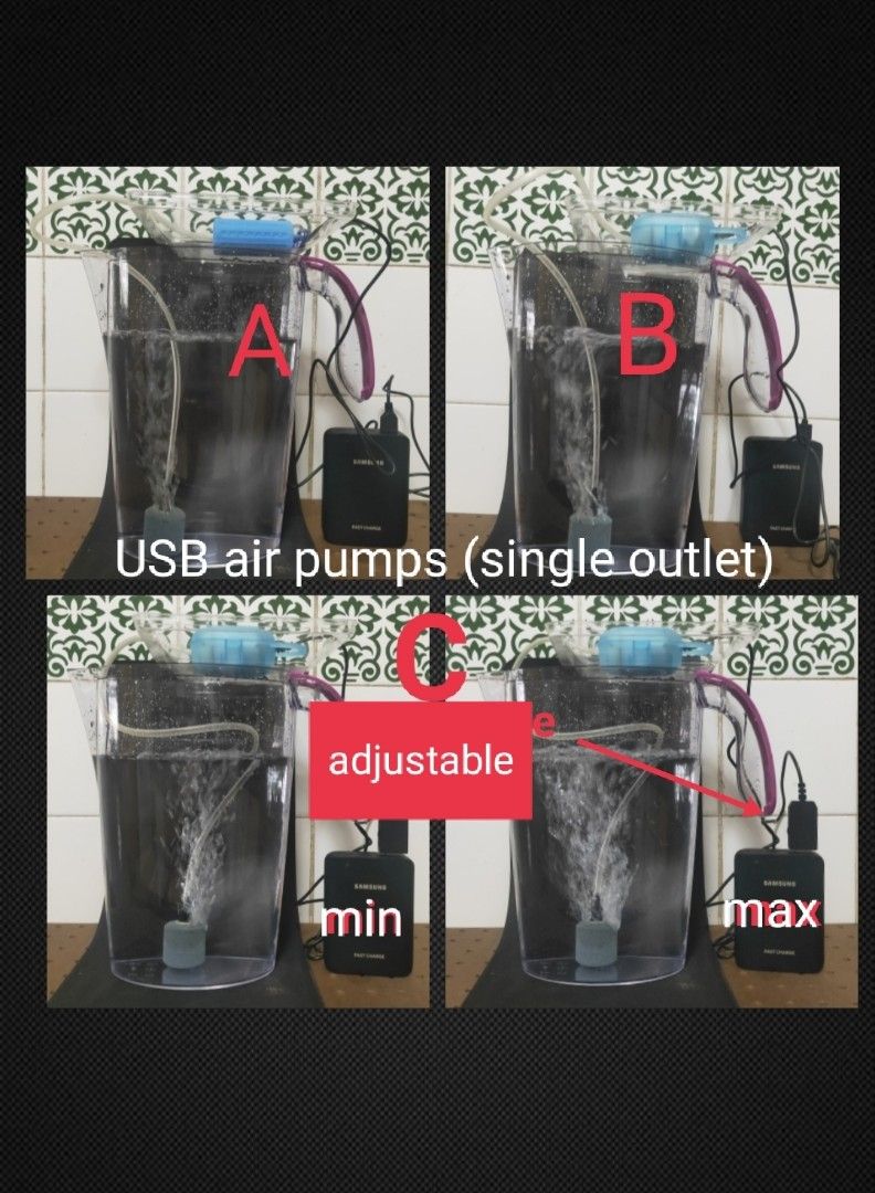 Fish food samples, microorganism, aquarium plants for guppies tetra ...