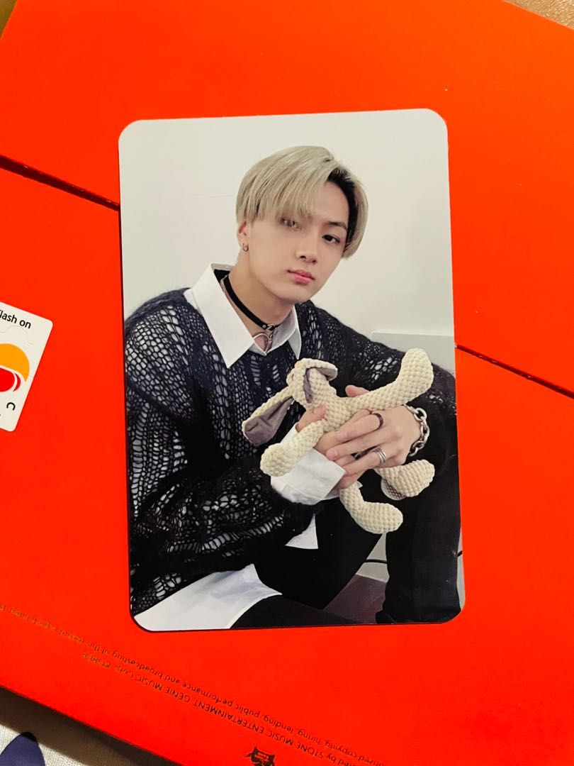 Jay Teddy Border Carnival Hype yzy LD, Hobbies & Toys, Memorabilia ...