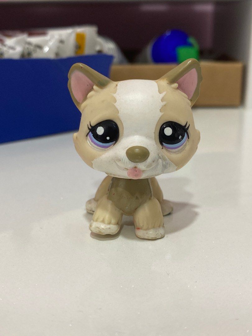 Lps littlest pet shop dogs and cats lot, Hobbies & Toys, Toys & Games ...