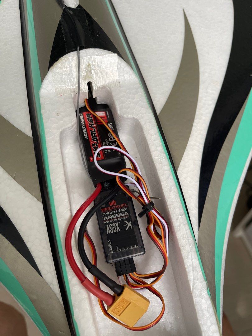 Rc plane blackbird deltawing EDF with spektrum AR636A AS3X DSMX ...