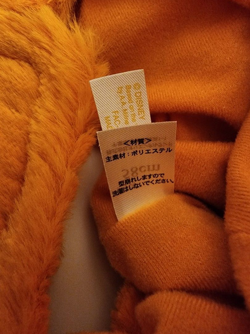 Tokyo Disneyland hat, Men's Fashion, Watches & Accessories, Caps & Hats ...