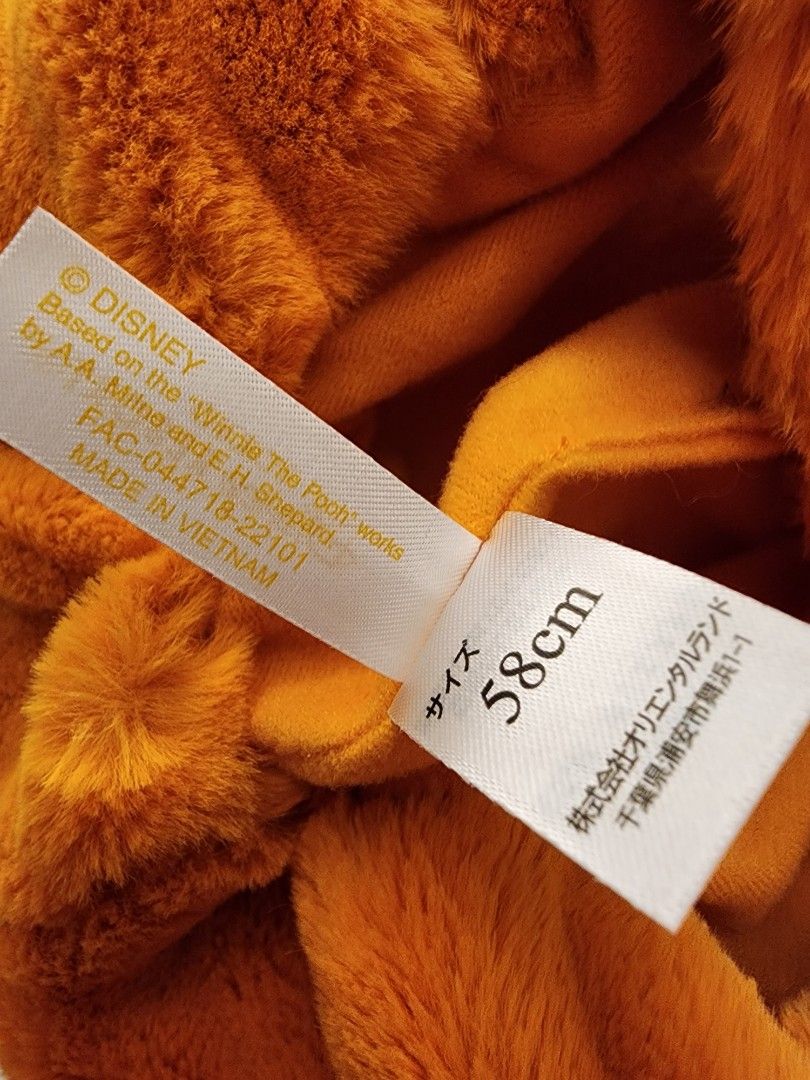 Tokyo Disneyland hat, Men's Fashion, Watches & Accessories, Caps & Hats ...