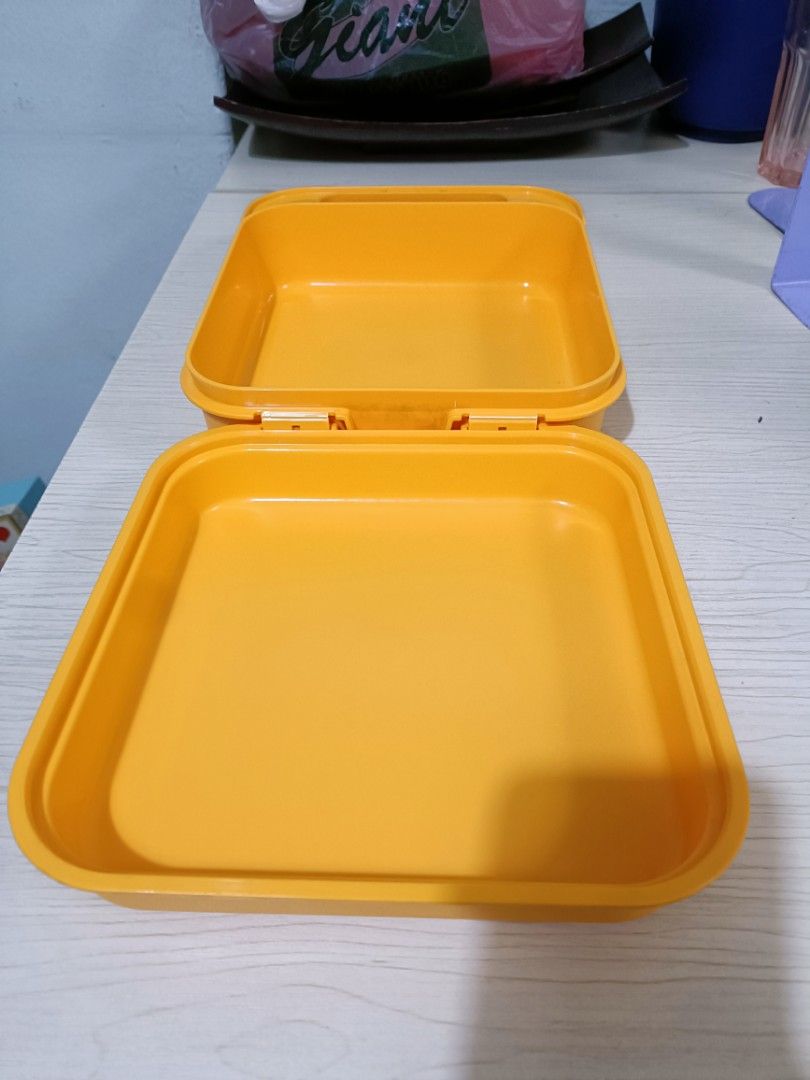 Tupperware carrier for kid, Babies & Kids, Going Out, Other Babies ...