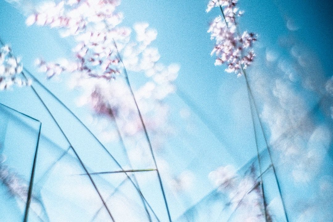 7Artisans 35mm f1.2 (FX mount), Photography, Lens & Kits on Carousell