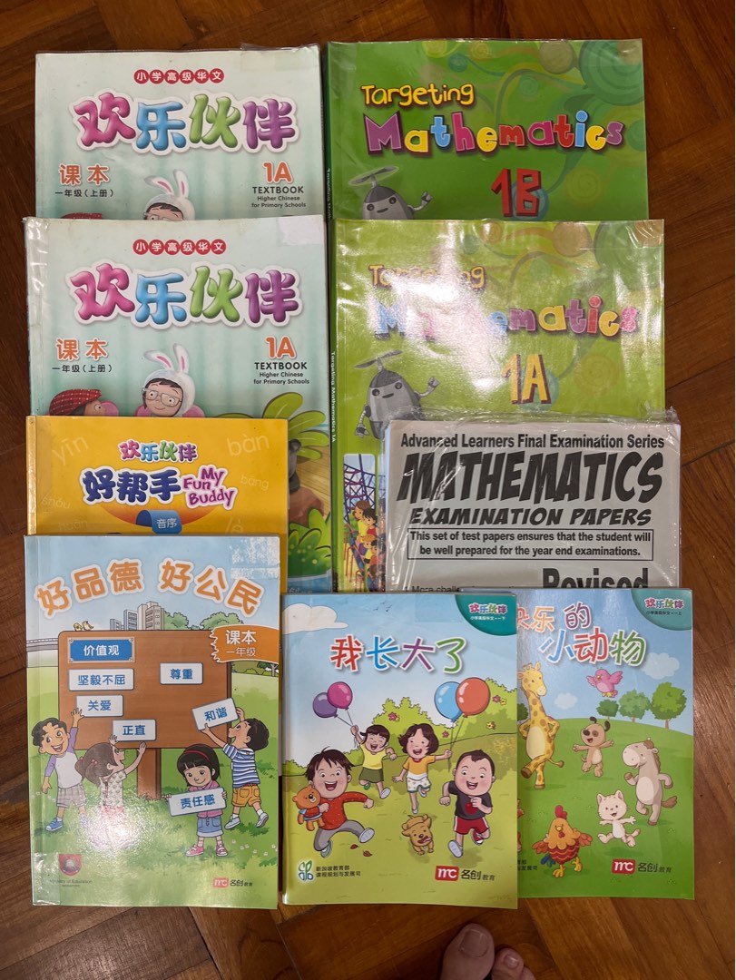 BUNDLE Primary 1 Textbook, Practice Papers and Flash Cards, Hobbies ...