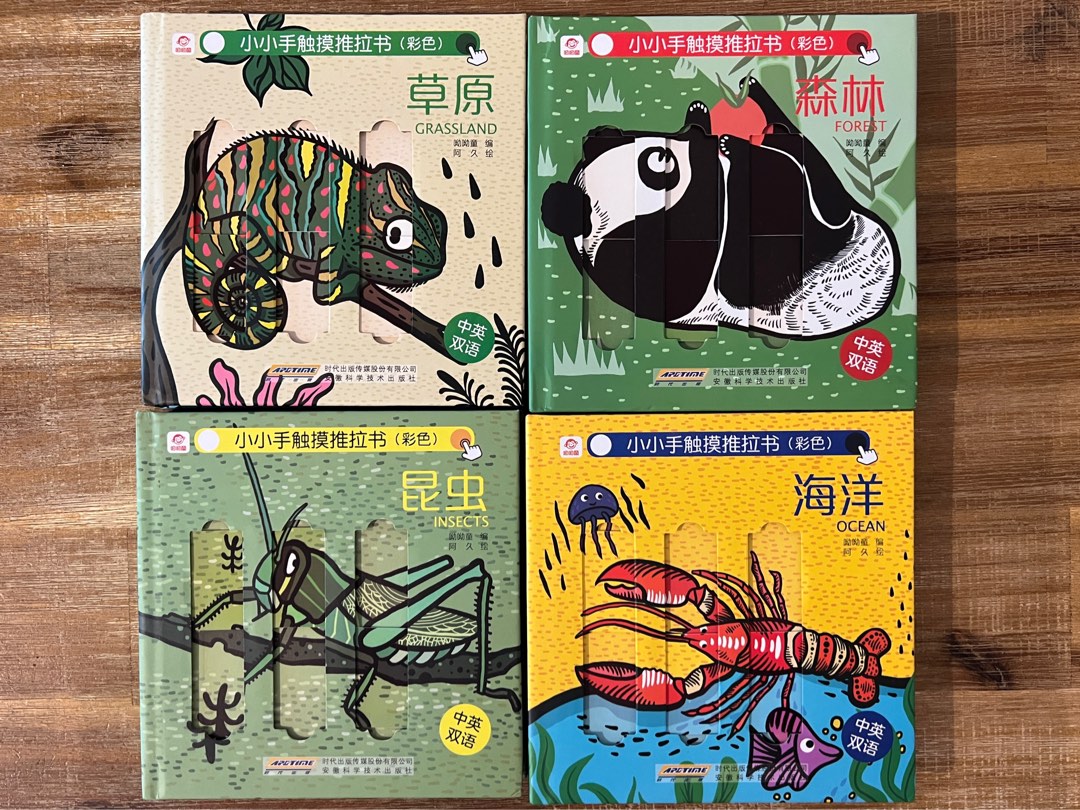 Chinese Interactive Board Books (Set Of 4), Hobbies & Toys, Books ...