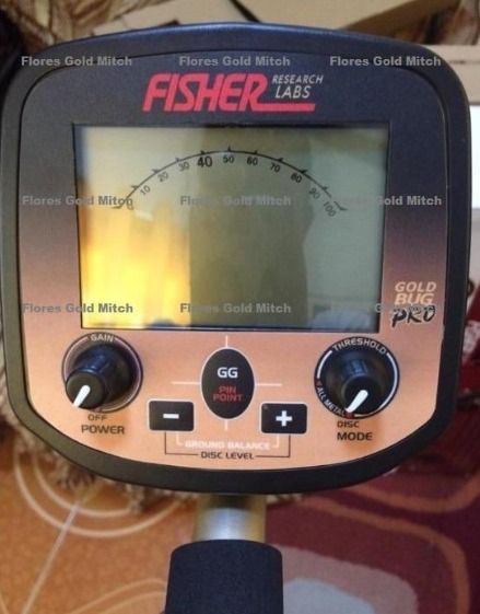 Fisher Gold Bug scanner Metal and Gold Detector, Sports Equipment ...