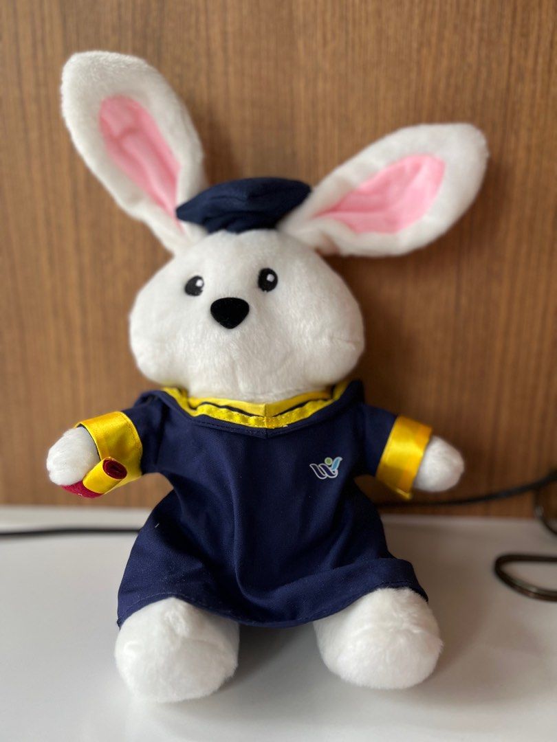 Graduation Rabbit, Hobbies & Toys, Toys & Games on Carousell