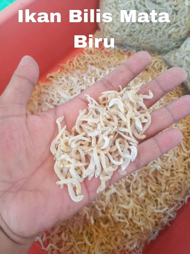 Ikan Bilis Sabah, Food & Drinks, Fresh Produce on Carousell