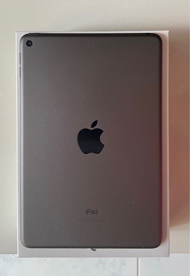 Ipad mini 5th generation 256 GB wifi, Mobile Phones & Gadgets, Tablets ...