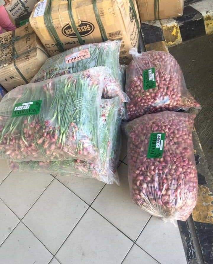 Lasona puting sibuyas, Food & Drinks, Fresh Produce on Carousell