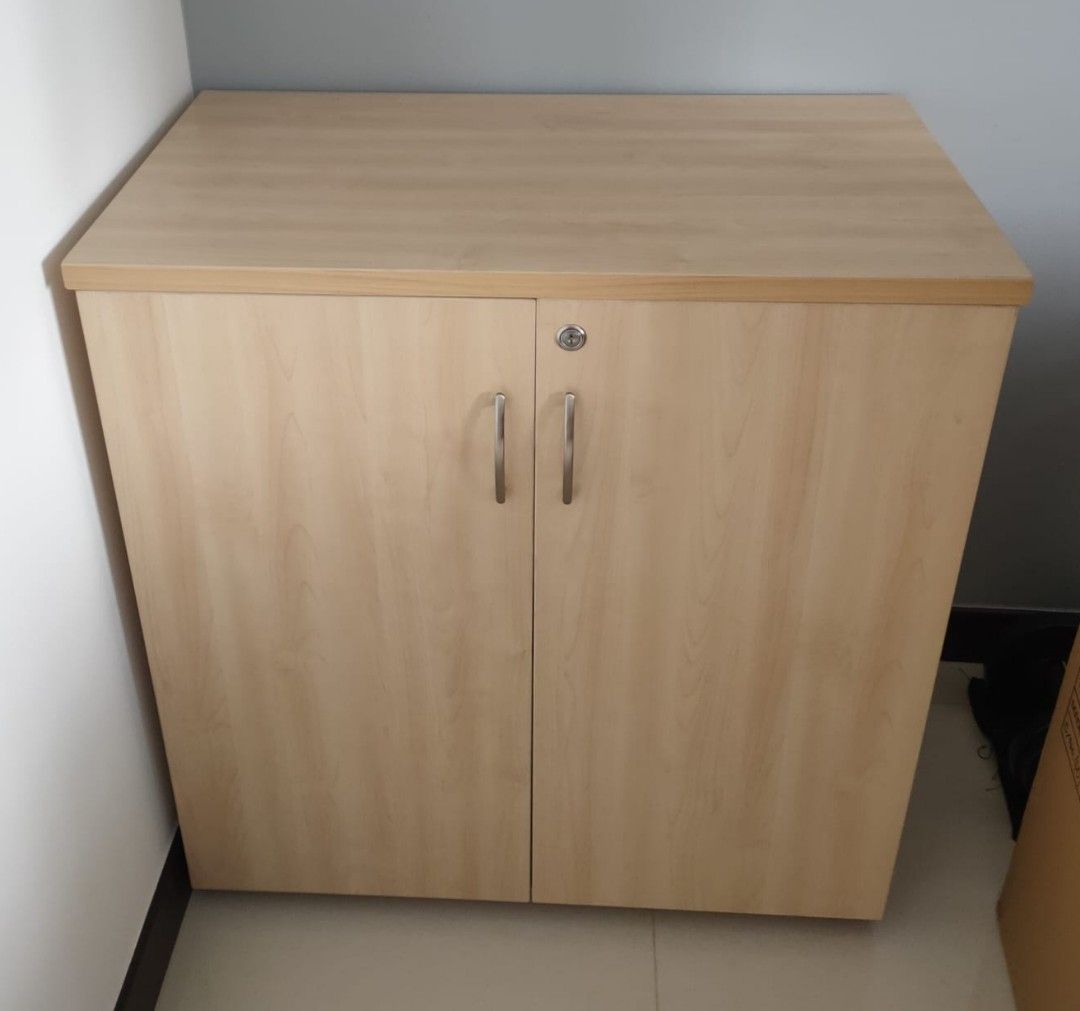 Multipurpose Wooden Swing Door Low Cabinet (Office Type), Furniture ...