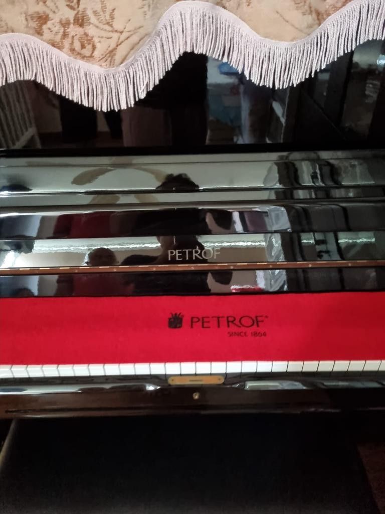 Petrof Piano, Hobbies & Toys, Music & Media, Musical Instruments on ...
