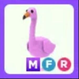 Roblox Adopt Me MFR (Mega Fly Ride) Flamingo, Video Gaming, Gaming ...
