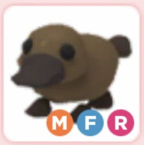 Roblox Adopt Me MFR (Mega Fly Ride) Platypus, Video Gaming, Video Games ...