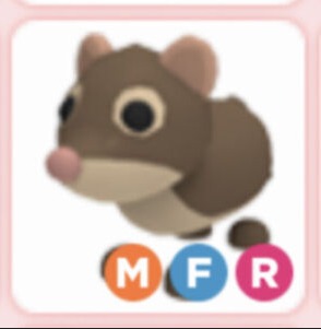 Roblox Adopt Me MFR (Mega Fly Ride) Shrew, Video Gaming, Video Games ...