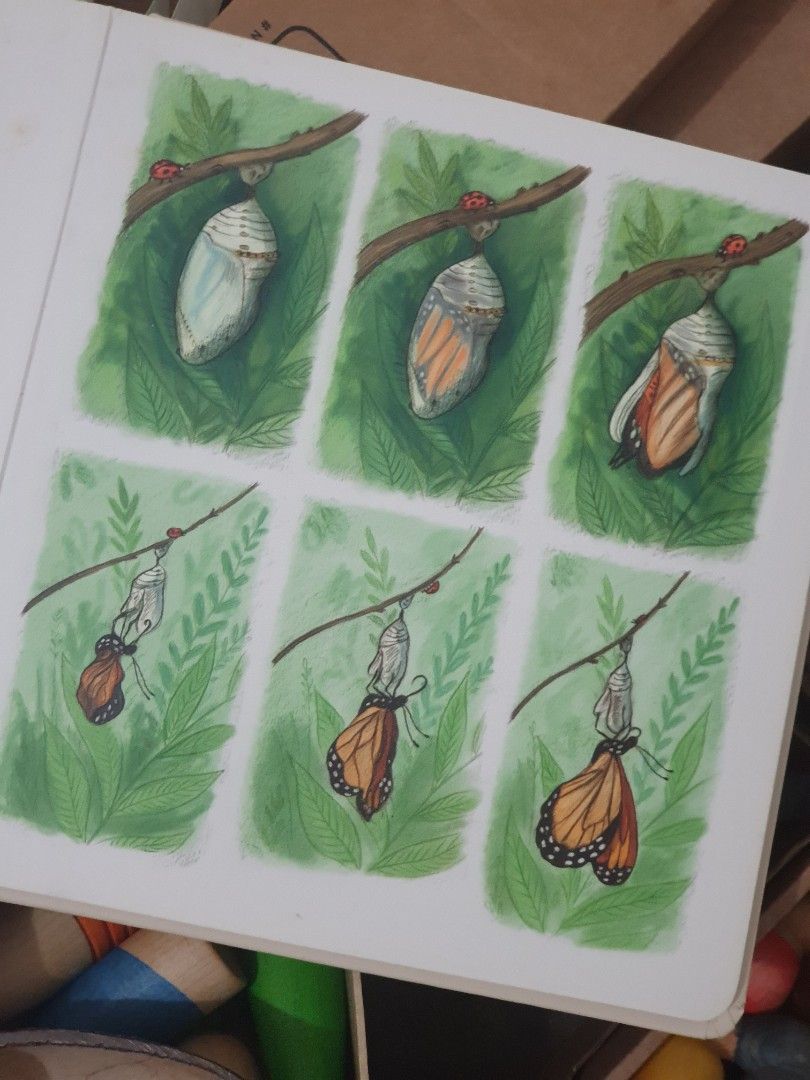 Slow Down on your doorstep by Freya Hartas Magic Cat Publishing ...