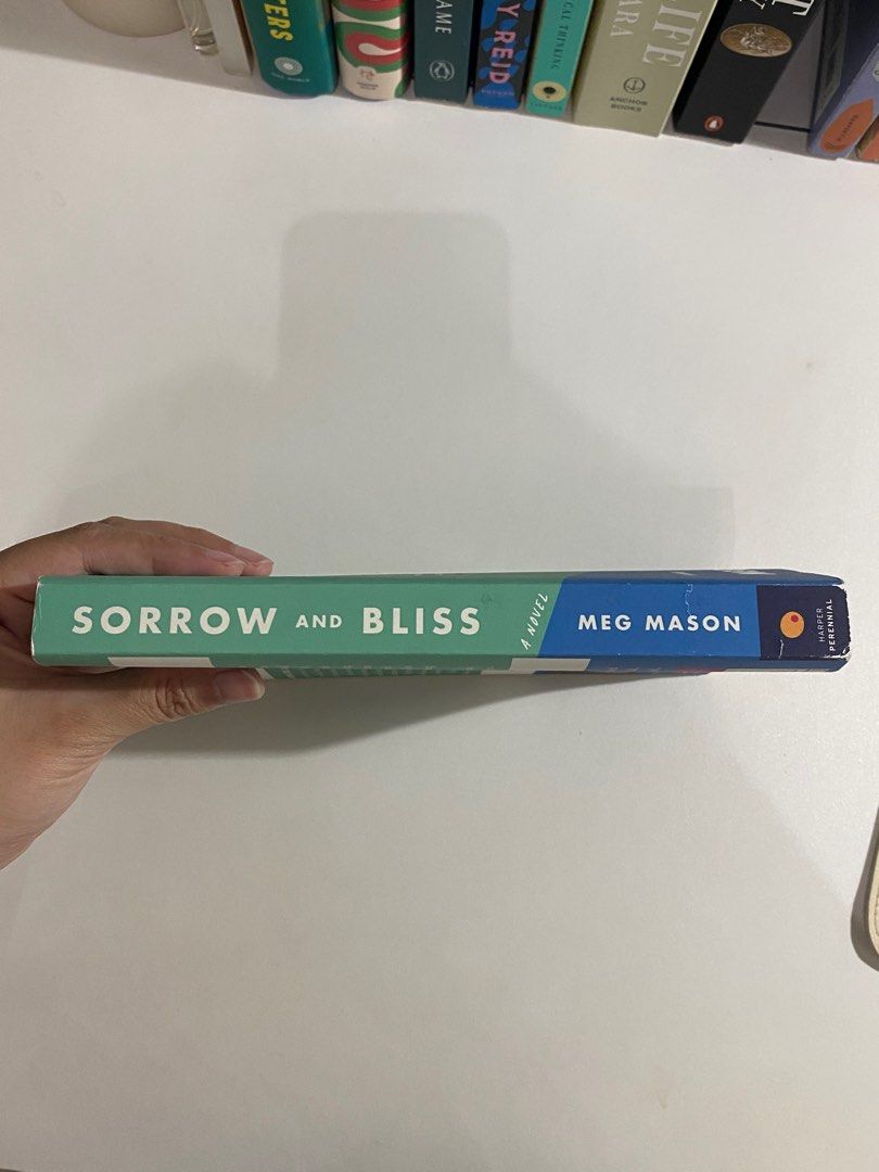 Sorrow and Bliss by Meg Mason, Hobbies & Toys, Books & Magazines ...