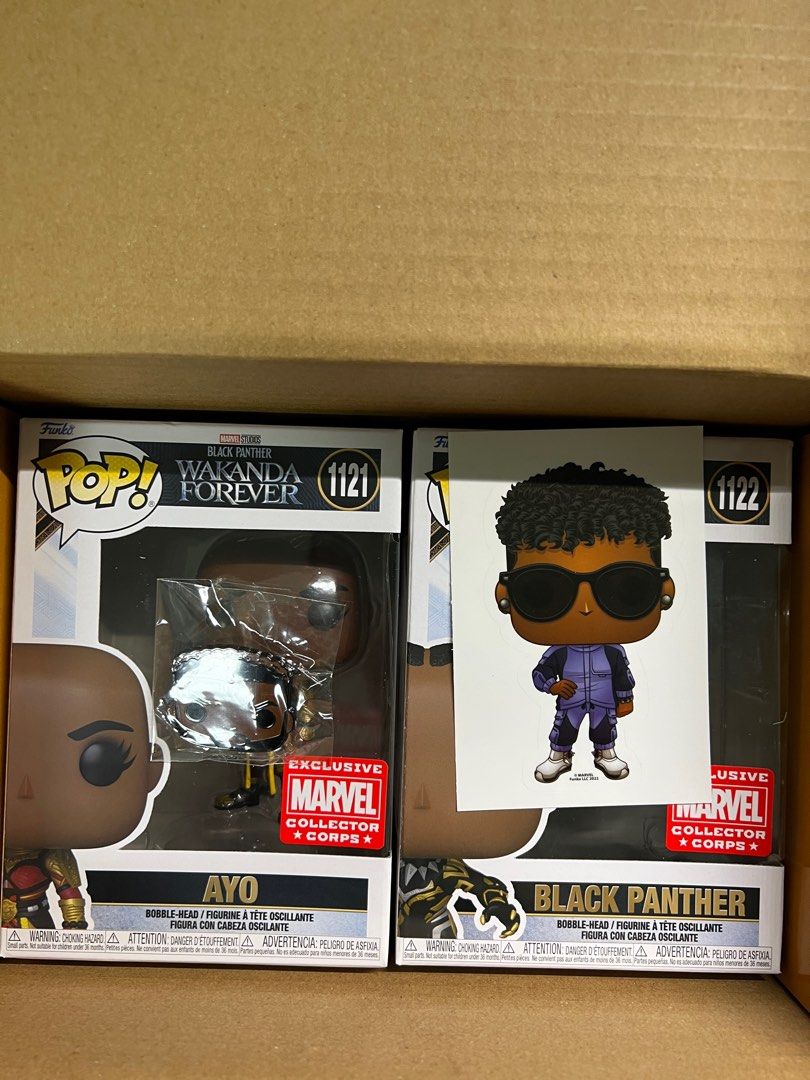 Black Panther Wakanda Forever MCC Box Funko, Hobbies & Toys, Toys ...