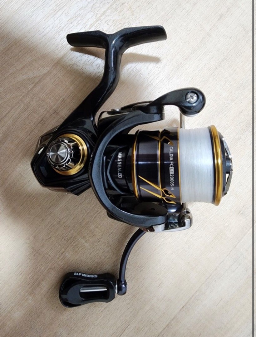daiwa caldia 2000s, Sports Equipment, Fishing on Carousell