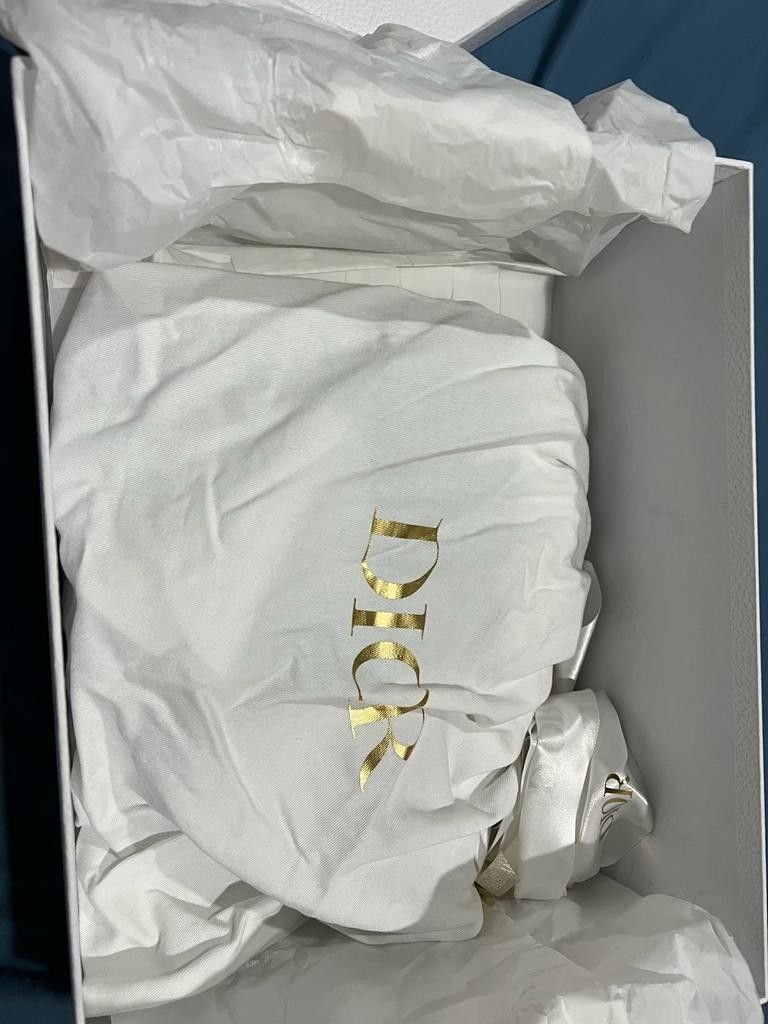 Dior saddle M canva, Barang Mewah, Tas & Dompet di Carousell