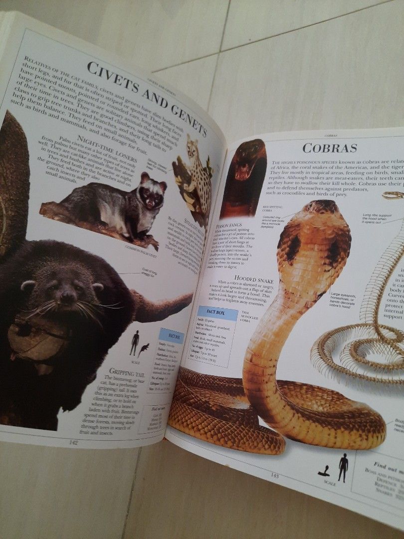 DK Animal Encyclopedia, Hobbies & Toys, Books & Magazines, Fiction ...