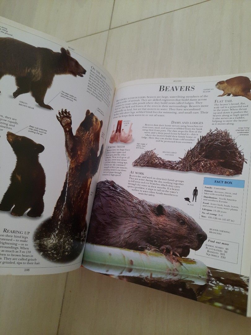 DK Animal Encyclopedia, Hobbies & Toys, Books & Magazines, Fiction ...