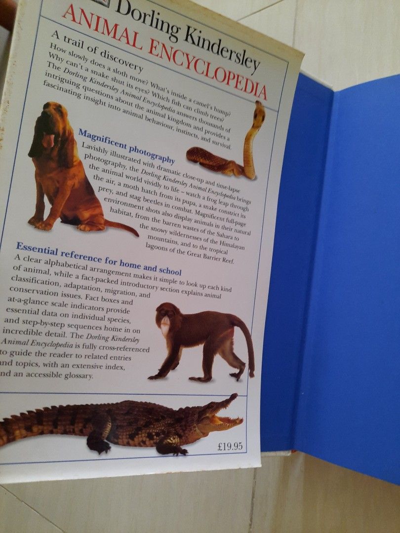 DK Animal Encyclopedia, Hobbies & Toys, Books & Magazines, Fiction ...